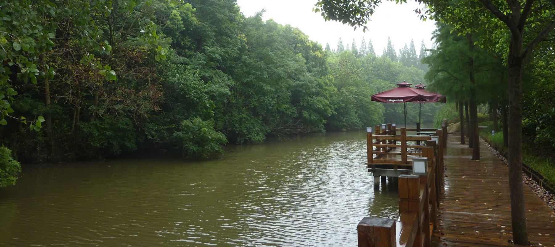 Chongming Island National Geological Park